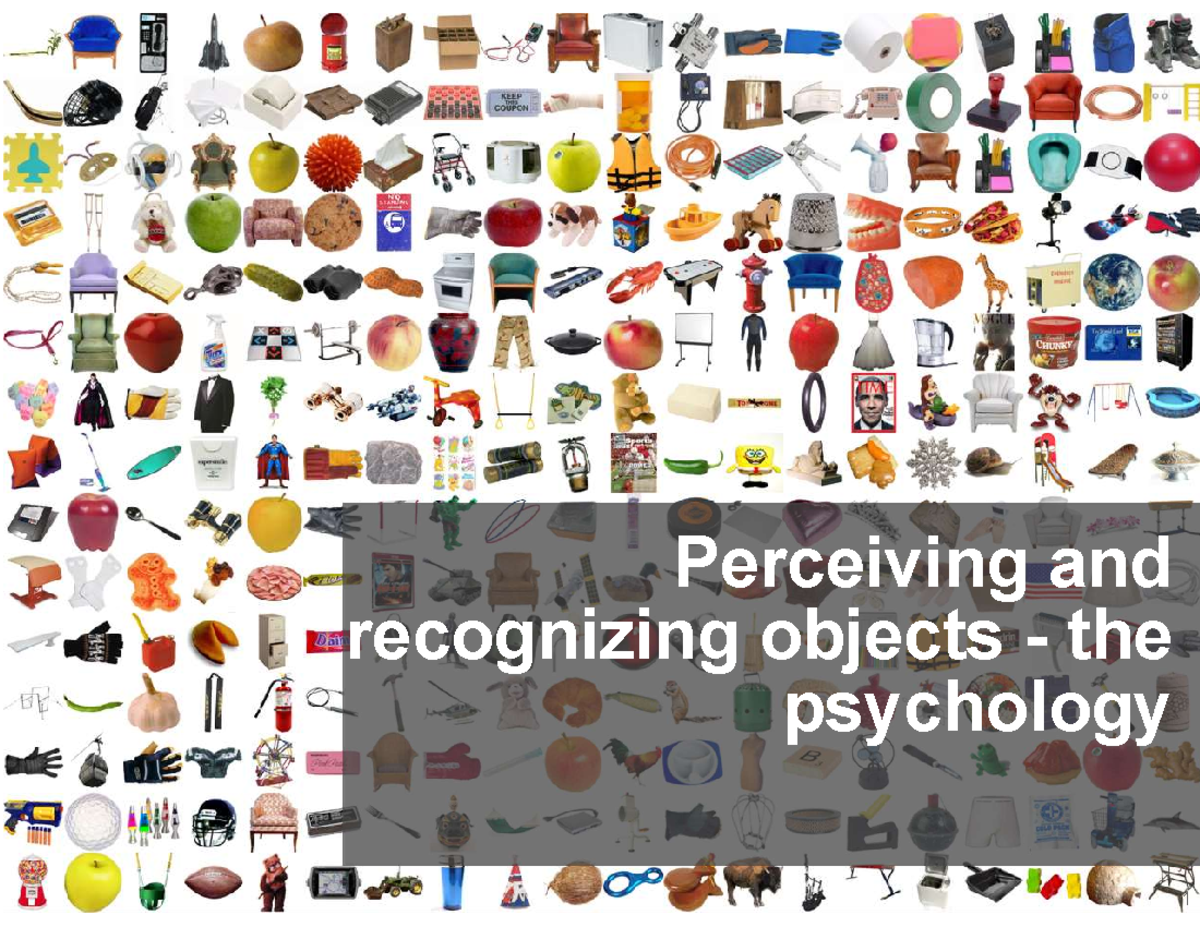 Object perception - Class PDFs and additional notes as comments ...