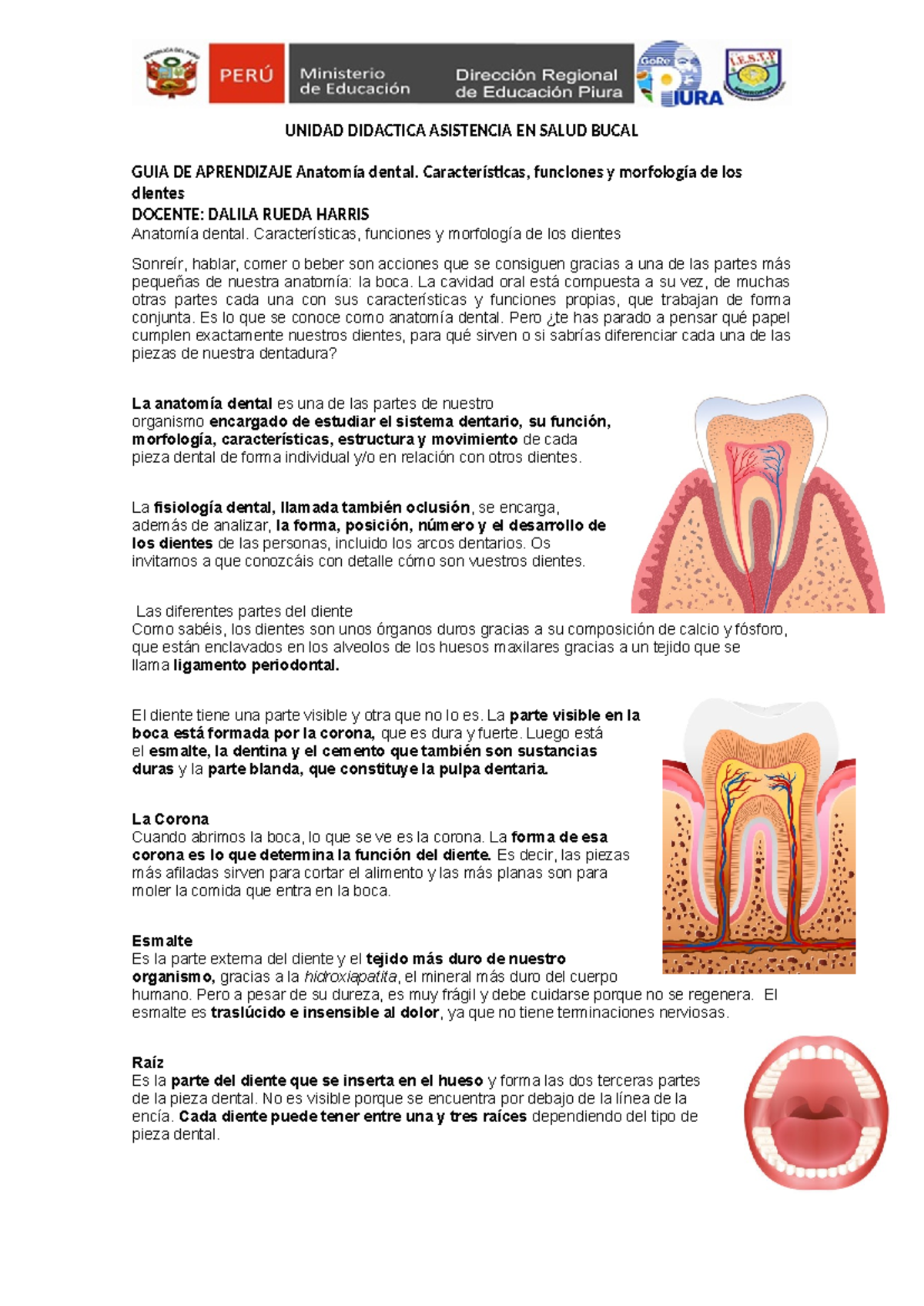 Unidad Didactica Asistencia EN Salud Bucal - UNIDAD DIDACTICA ...