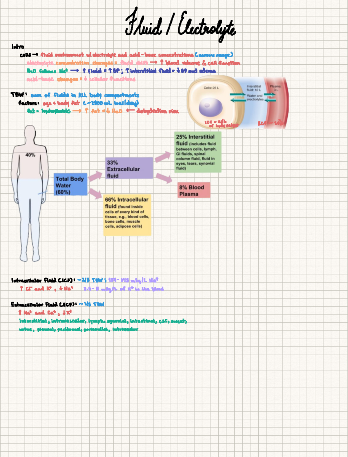 Fluid & Electrolytes - Fluid Electrolyte Intro cells - Studocu