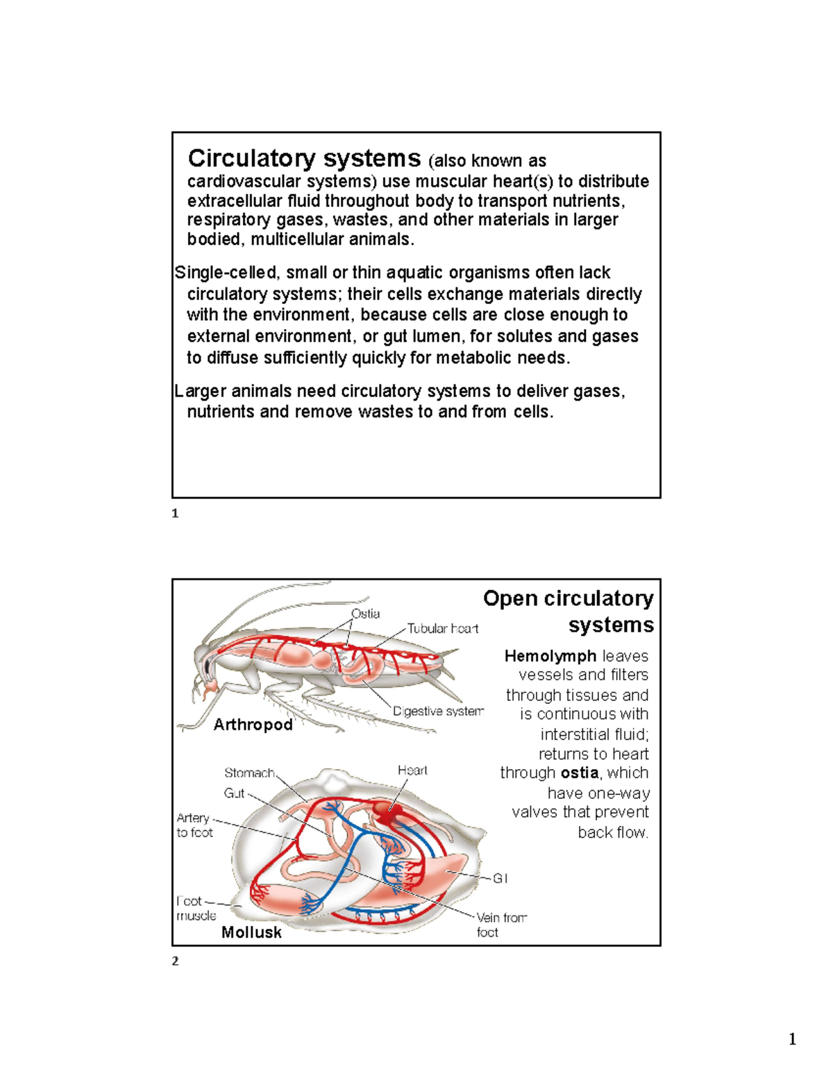 Circ and digestion - notes - Circulatory systems (also known as ...