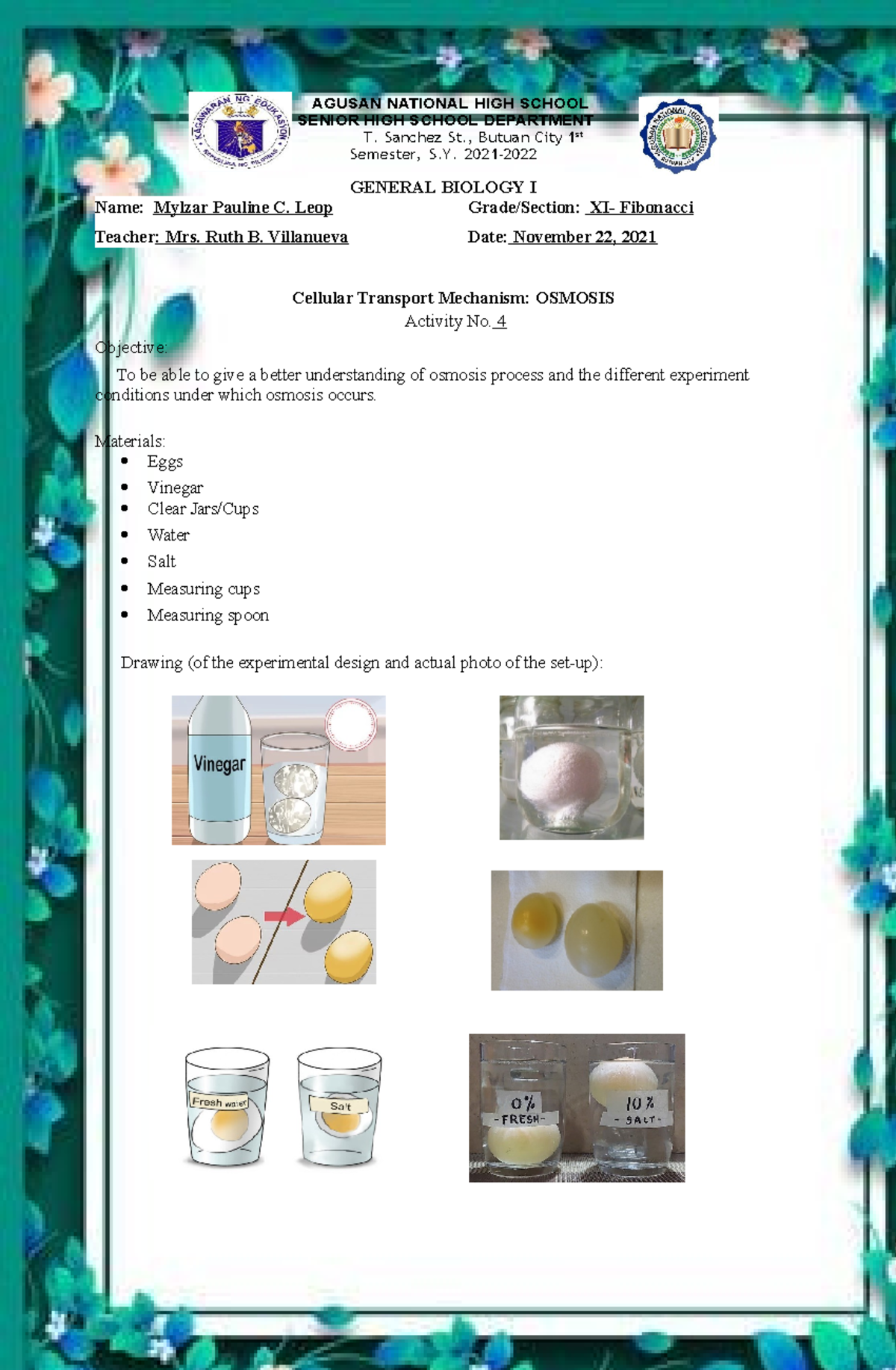 Activity Osmosis - osmo - AGUSAN NATIONAL HIGH SCHOOL SENIOR HIGH ...