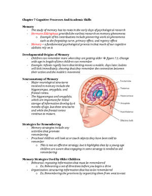 Developmental Psychology - DEVELOPMENTAL PSYCHOLOGY CHAPTER 1 ...