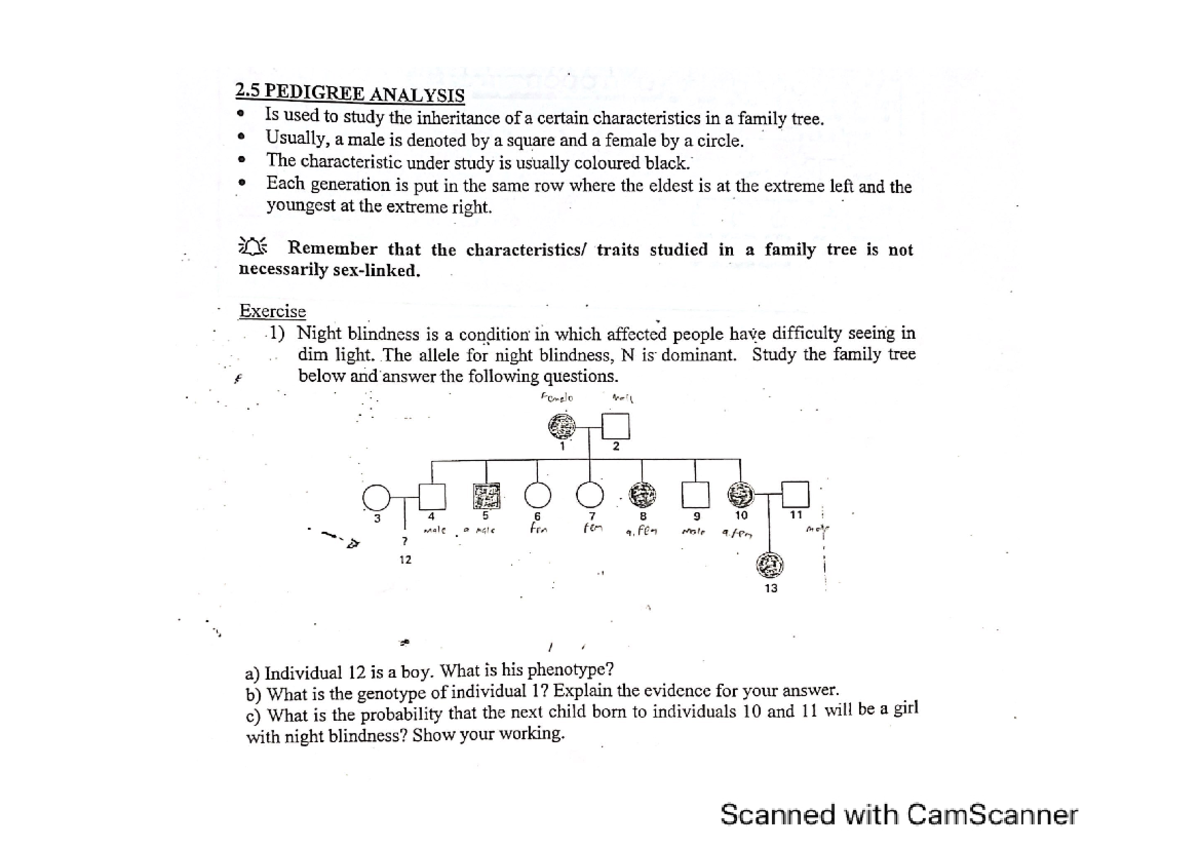 Pedigree Analysis - Biology - Studocu