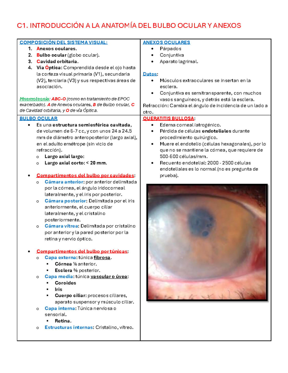 C1 - Introducción a la Anatomía del Bulbo Ocular Y Anexos - C1 ...