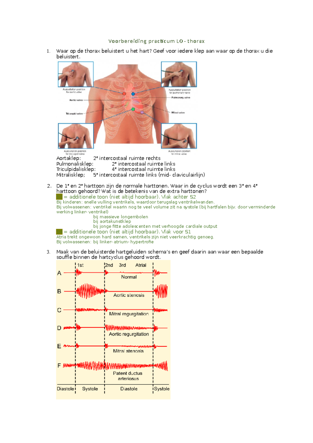 Auscultatie hart - Voorbereiding practicum LO- thorax Waar op de thorax ...
