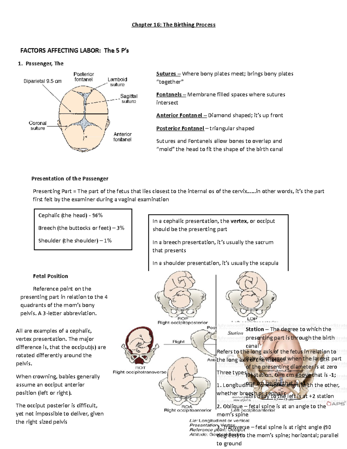 Notes+Birthing+Process - Chapter 16: The Birthing Process FACTORS ...