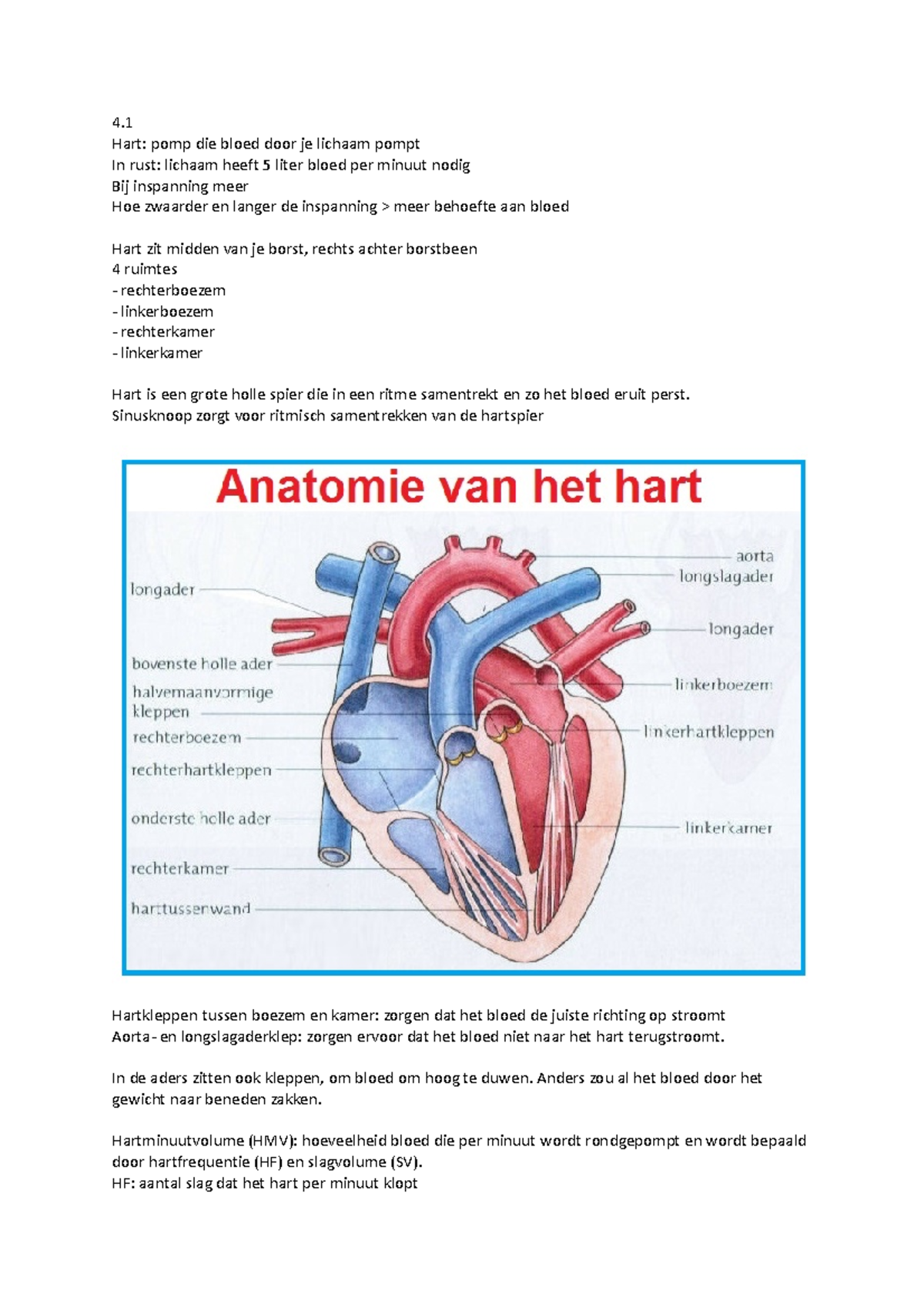 Trainingsleer toets samenvatting - 4. Hart: pomp die bloed door je ...