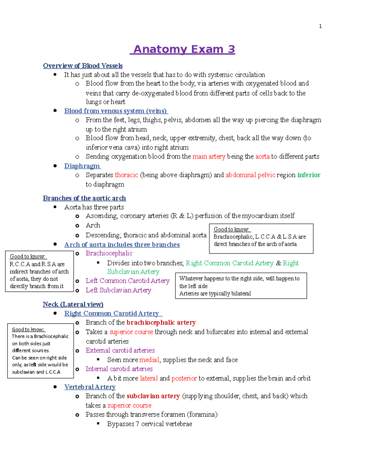 Anatomy Exam 3 - Professor McNally - Anatomy Exam 3 Overview of Blood ...