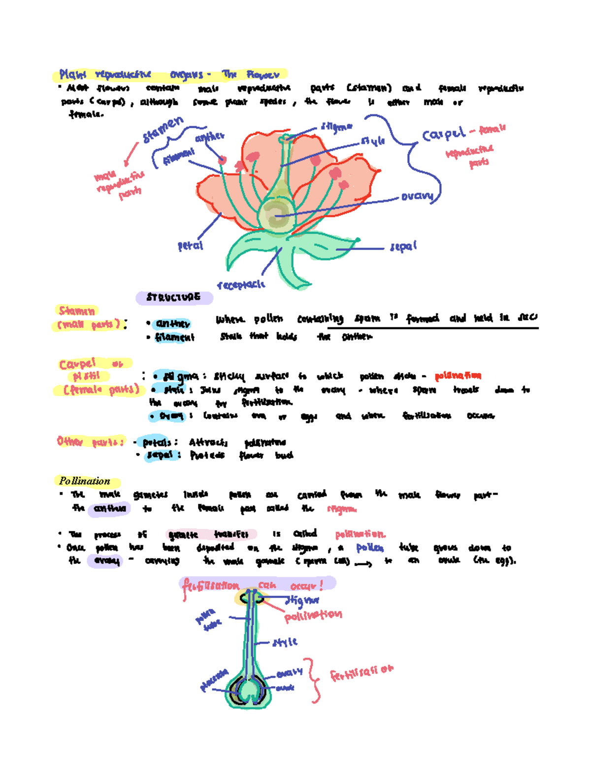 Sexual reproduction in plants notes 📝 - Pollination Plant reproductive ...