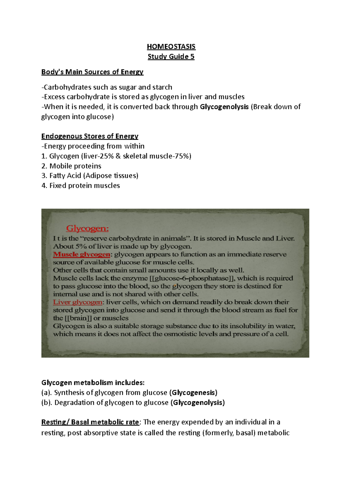 Study Guide 5 Rihan - cccccccccc - HOMEOSTASIS Study Guide 5 Body's ...