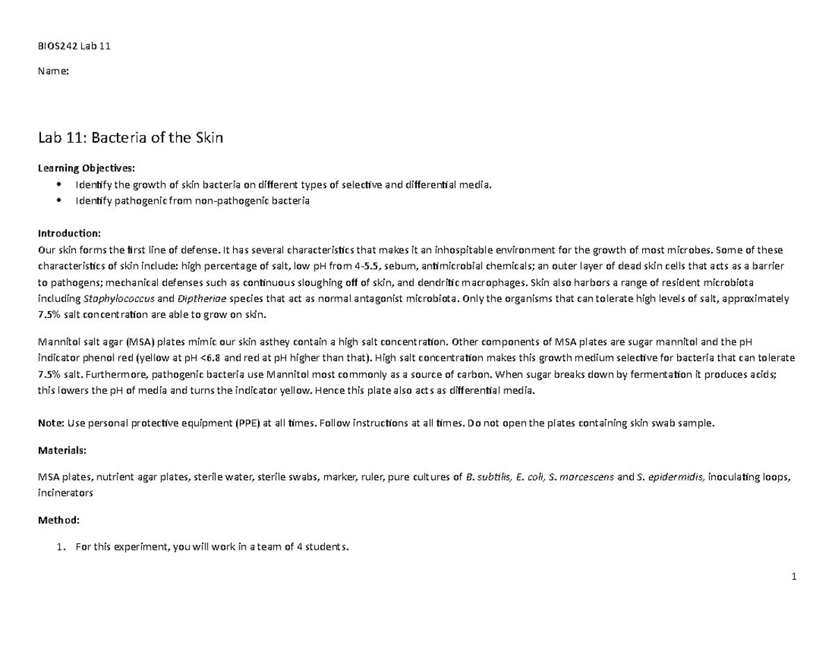 BIOS242 Week 6 Lab11 Skin Swab-1 - Name: Lab 11: Bacteria of the Skin ...