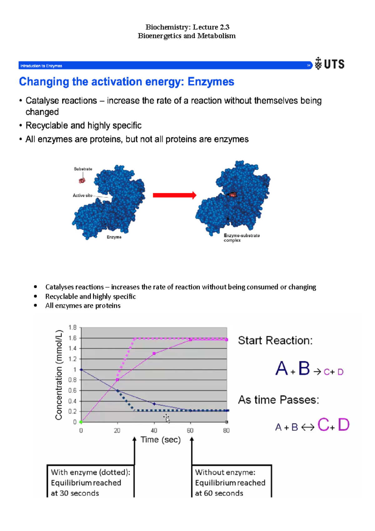 Metabolic Biochemistry Lecture 2.3 (Bioenergetics and Metabolism ...