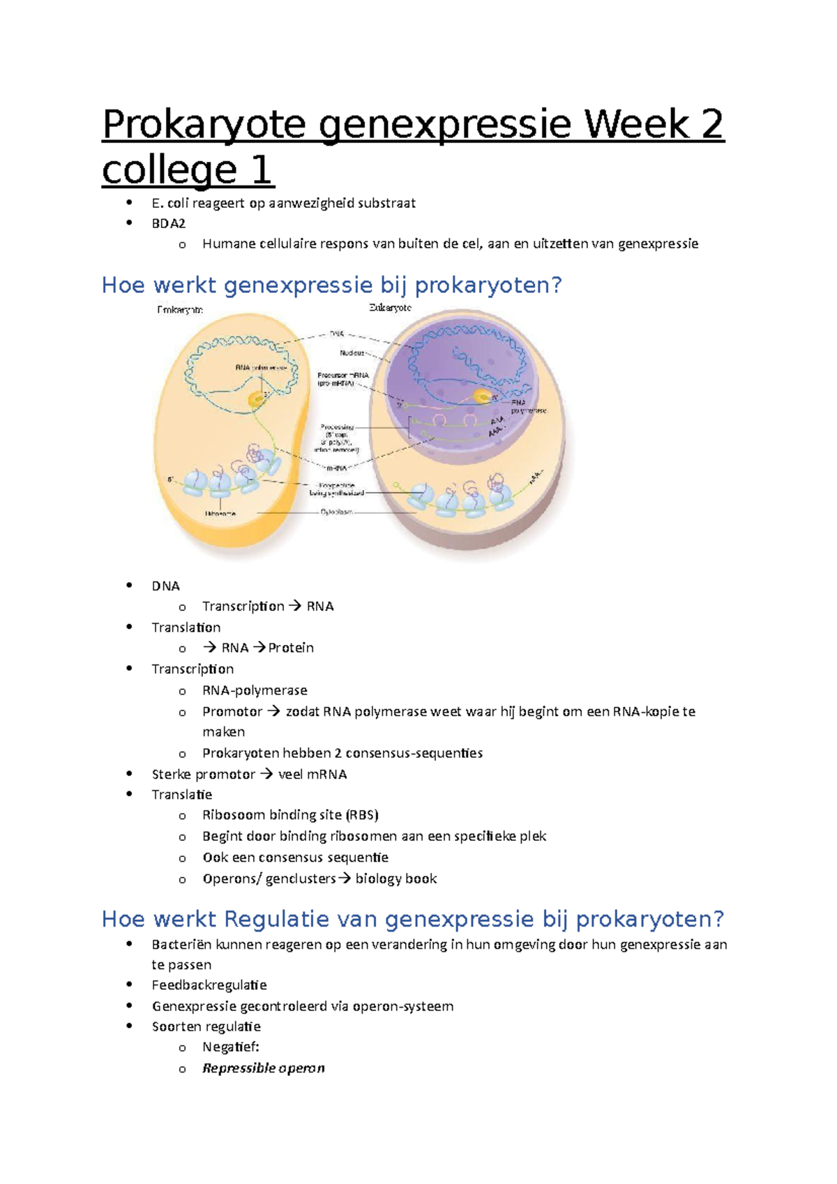 Week 2 Prokaryote genexpressie college 1 - Prokaryote genexpressie Week ...