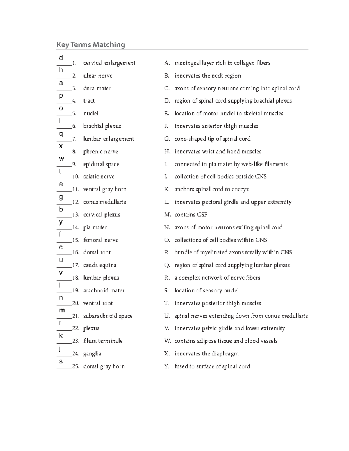 Lab 14- Key Terms Matching - Key Terms Matching _____1. cervical ...