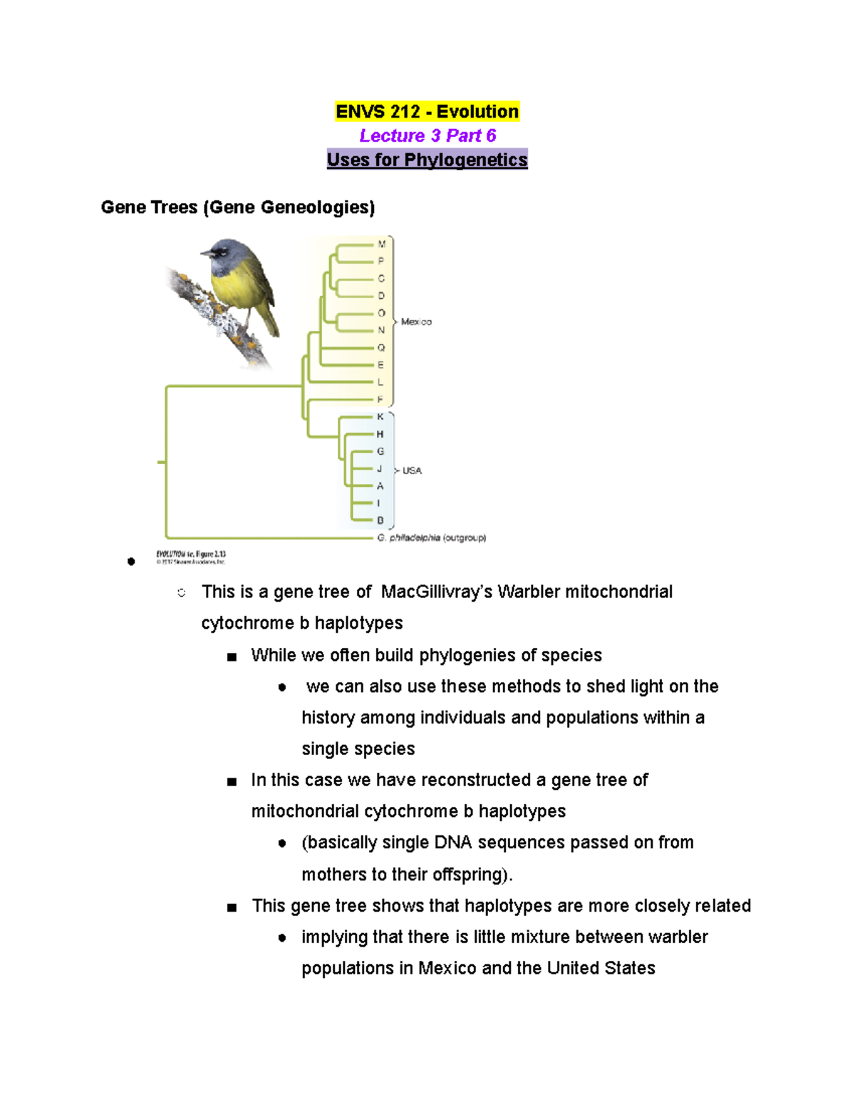 ENVS 212 Lecture 3 Part 6 - Spring 2020 - ENVS 212 - Evolution Lecture 3 Part 6 Uses for - Studocu