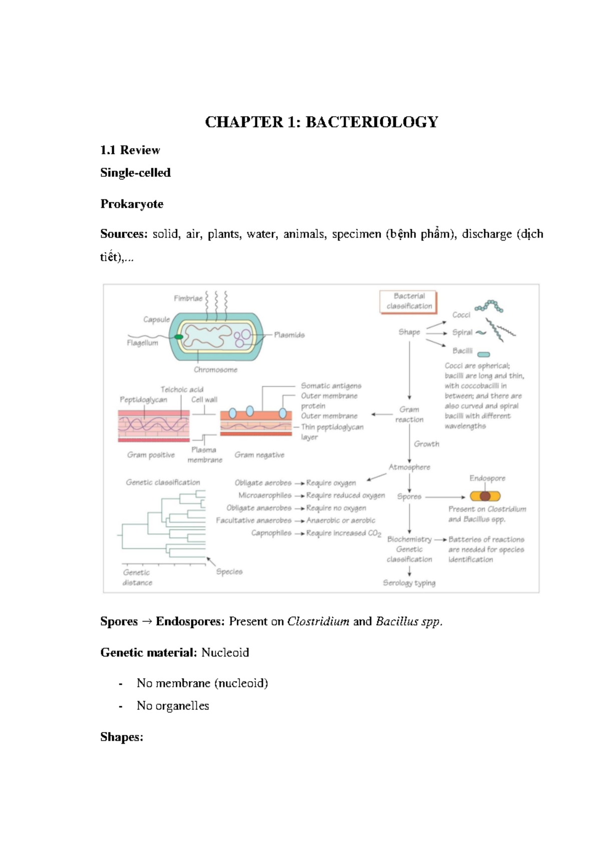 Microorganisms and Disease - CHAPTER 1: BACTERIOLOGY 1 Review Single-celled Prokaryote Sources ...