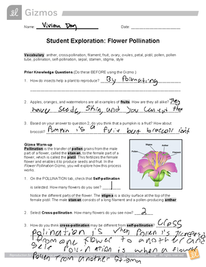 Download 9673490 - Mdmdmd - Name ...