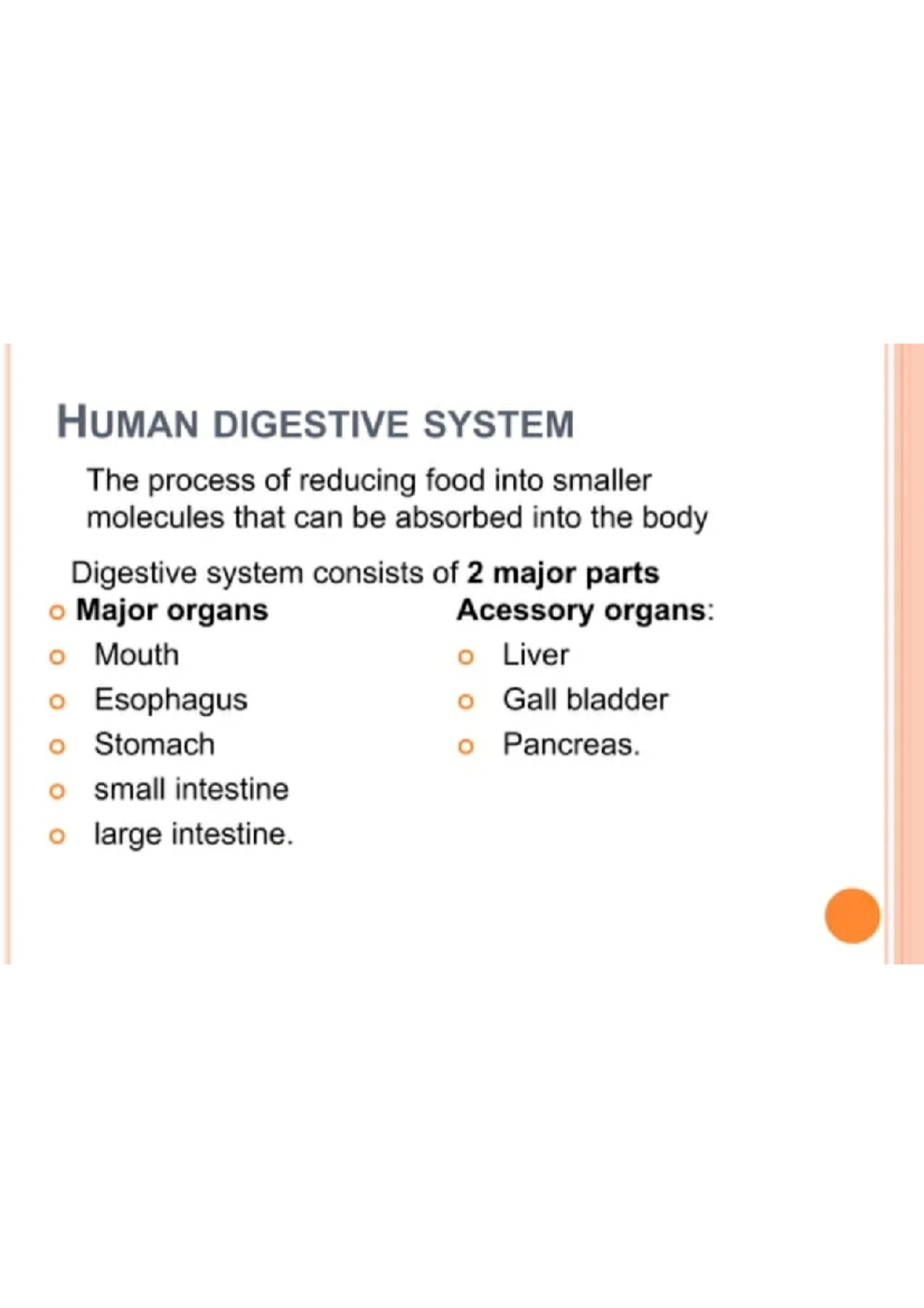 Digestive system - It includes many organs all together bring function ...