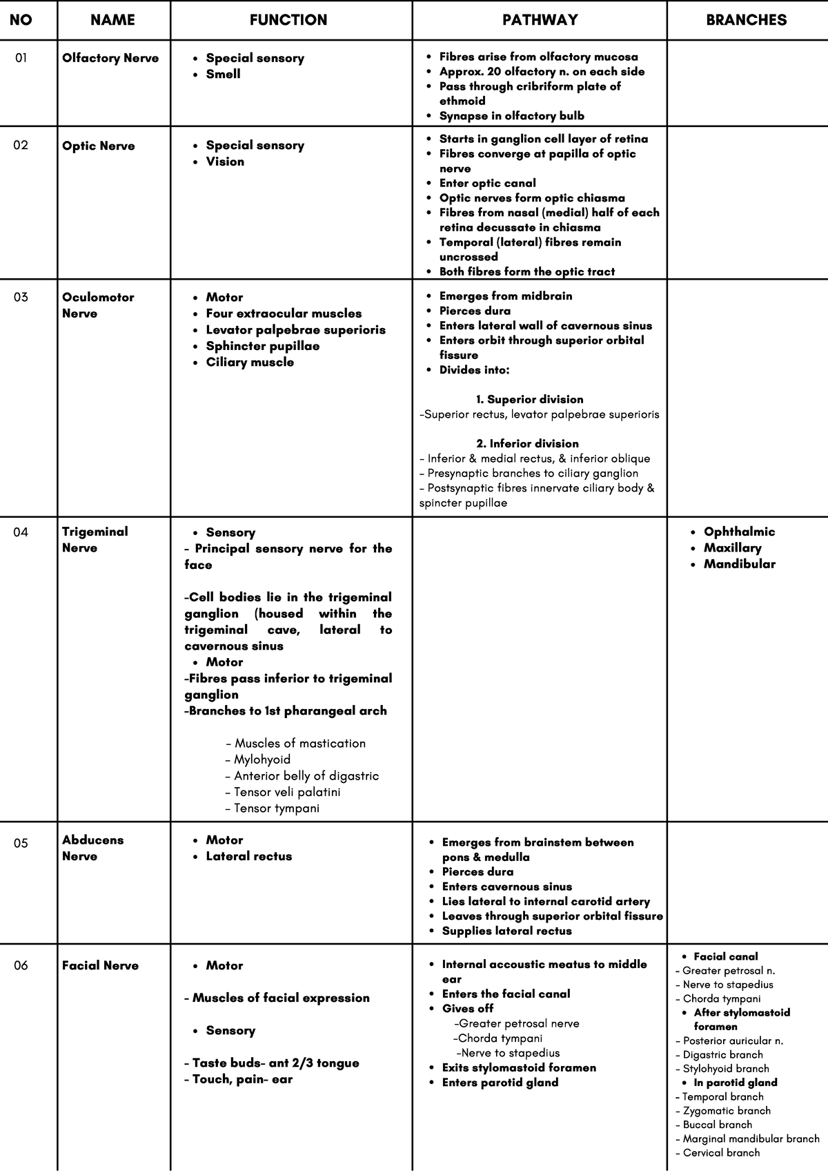 Anatomy- Poster - NO NAME FUNCTION PATHWAY BRANCHES 01 Olfactory Nerve ...