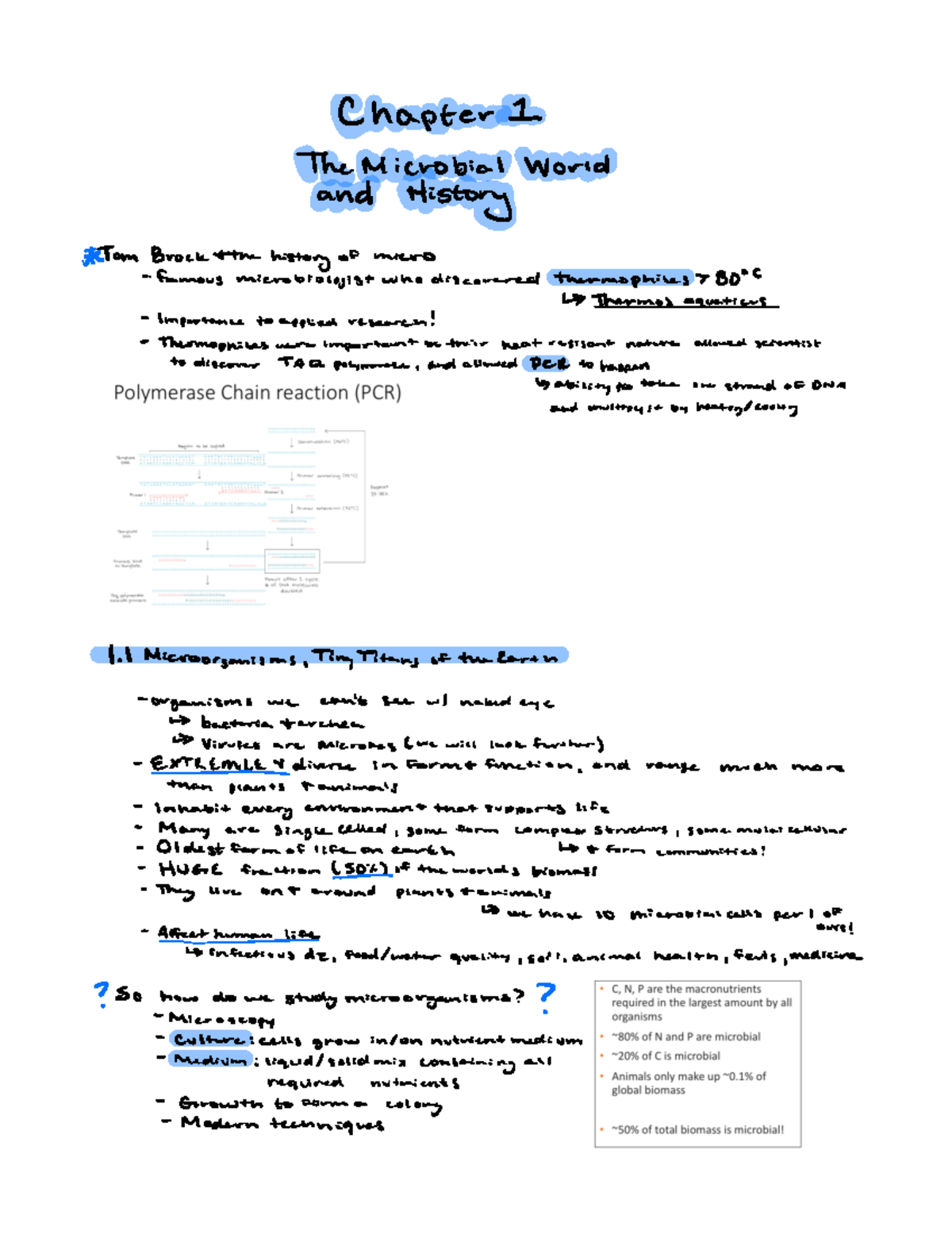 Unit One BIO300 - Microbiology notes unit 1 - BIO 300 - Studocu