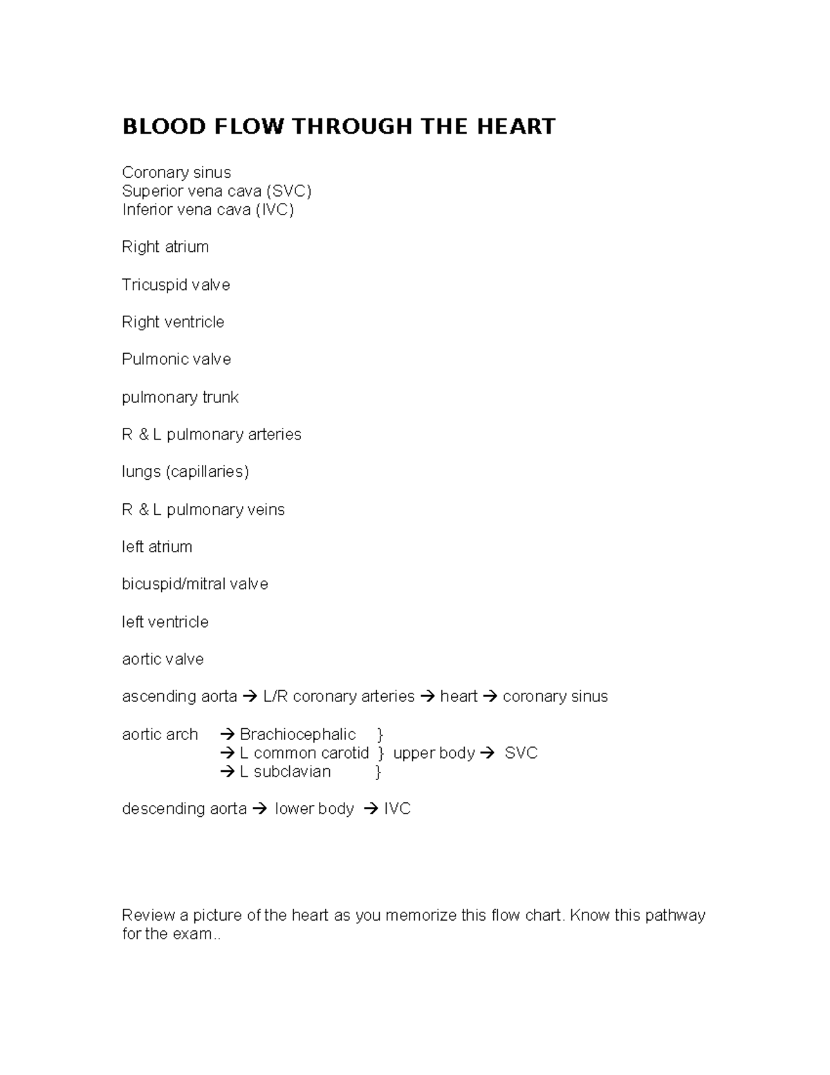 Heartbloodflow HB 2 - blood flow through the heart - BLOOD FLOW THROUGH ...