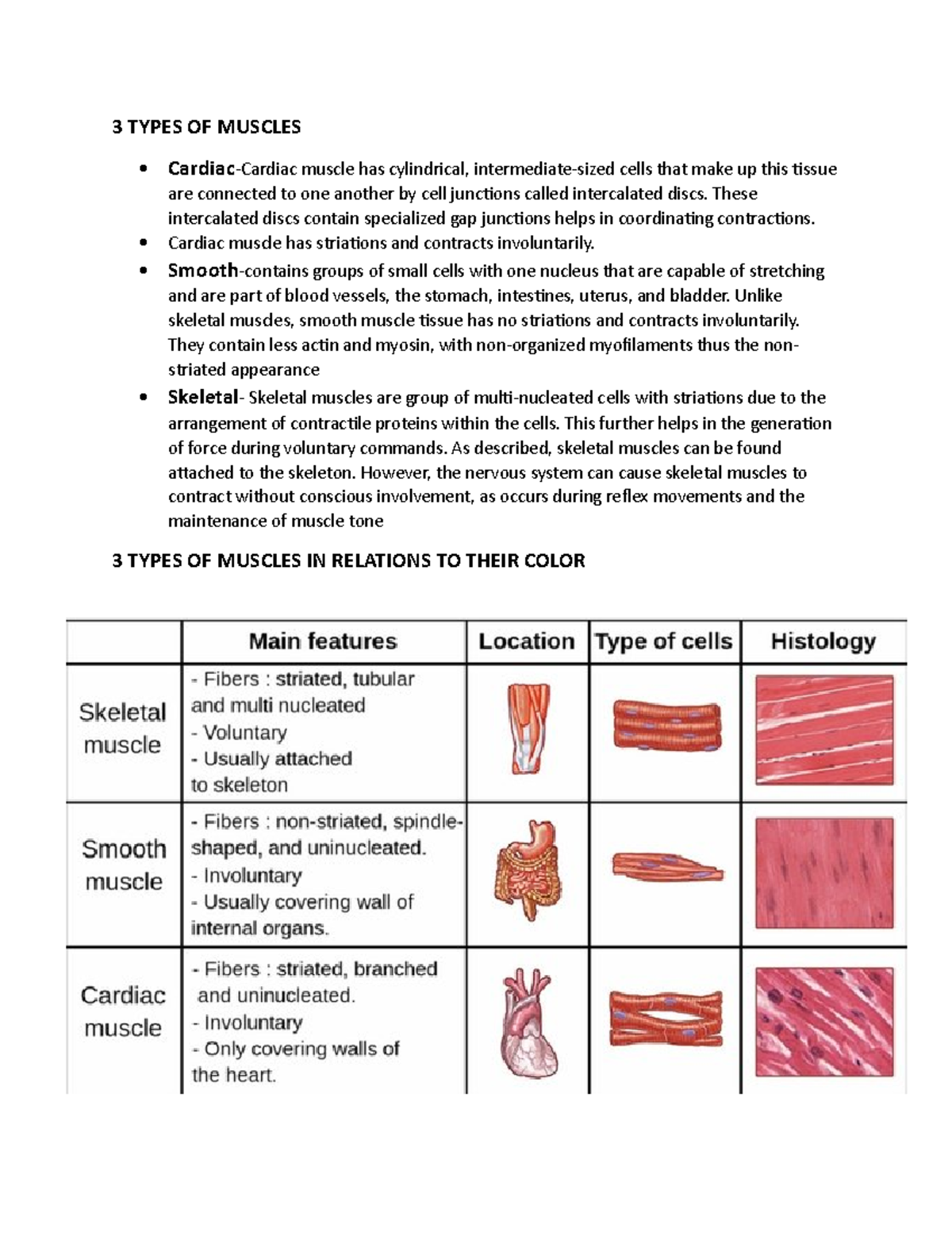 3 types of muscles - ANAPHY MIDTERM - 3 TYPES OF MUSCLES Cardiac ...