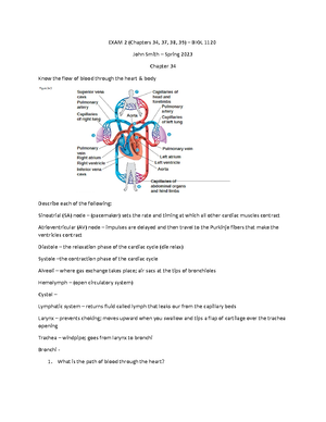 Unit 8 learning objectives and key terms - Unit 8: Ecology 8: Responses ...