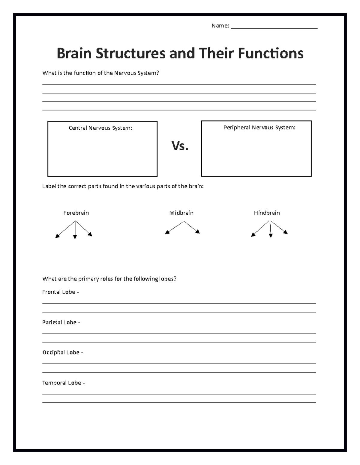 Brain structure and function outline wksht General Psyc 2301 - Brain Structures and Their ...
