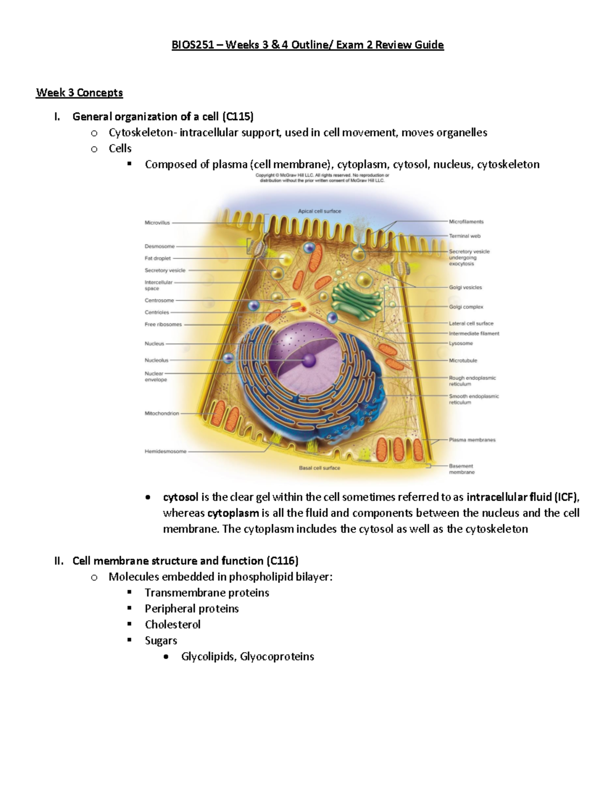 Wks 3-4 Outline-Exam 2 Review - BIOS251 – Weeks 3 & 4 Outline/ Exam 2 ...