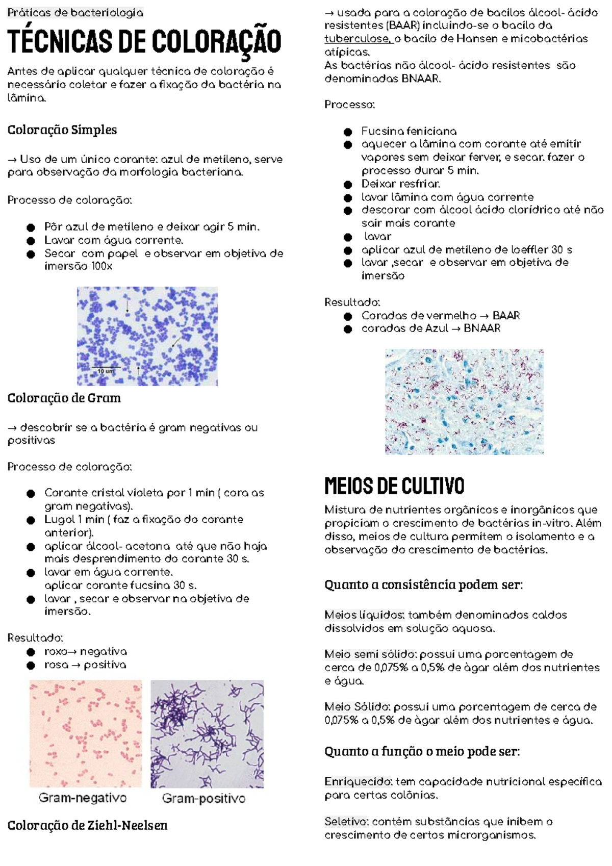 Prática de bacteriologia - Práticas de bacteriologia Técnicas de ...