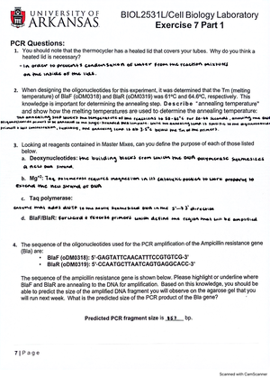 Lab Exercise 7 part 1 & 2 - Exercise 7 Part 1 PCR Questions: 1. You should note that the - Studocu