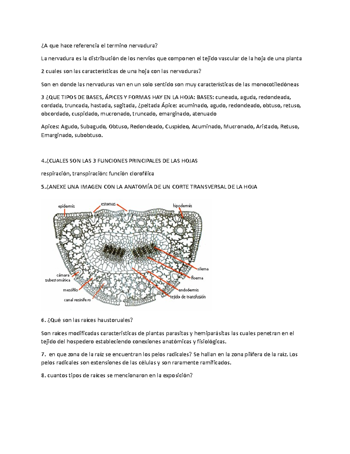 Taller laboratorio - ¿A que hace referencia el termino nervadura? La ...