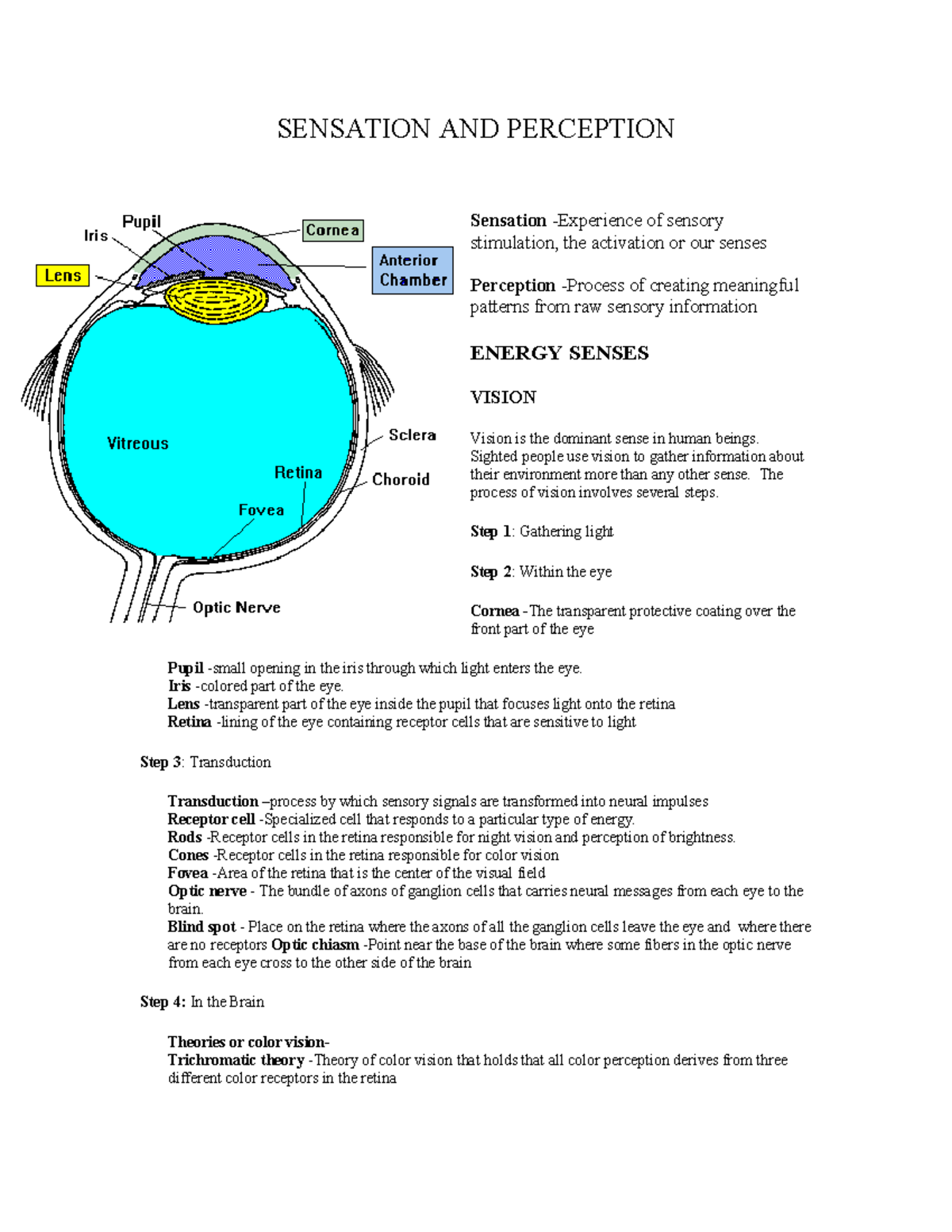 Chapter 5 - Sensation - These are my notes from this class. my class is ...
