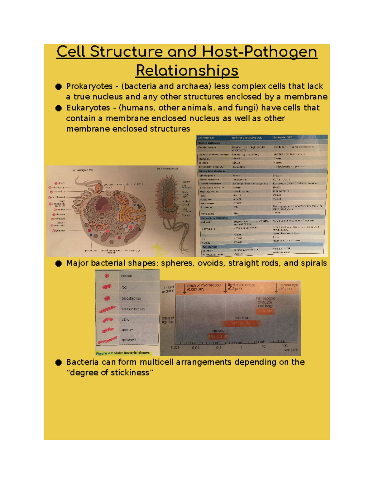 Chapter 4 - Class notes from microbiology with Heather Balyeat - Cell ...