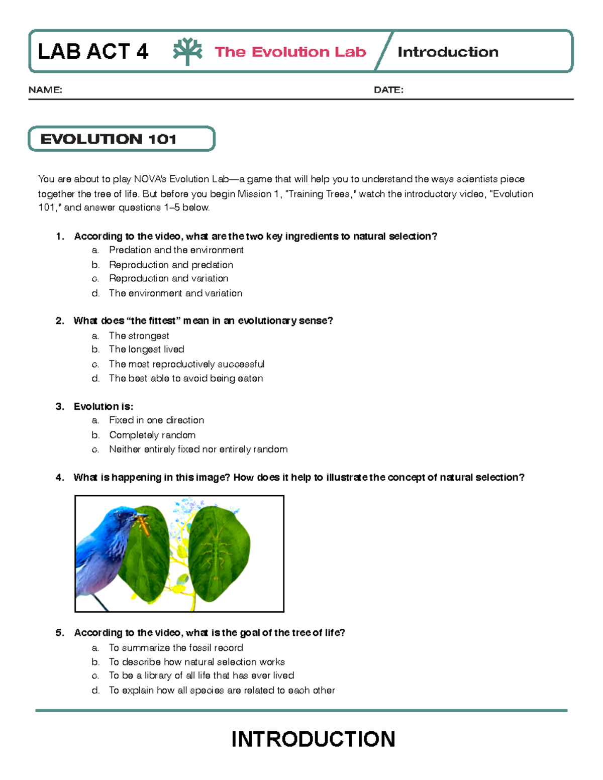 Lab Worksheets - Laboratory Details - The Evolution Lab Introduction ...
