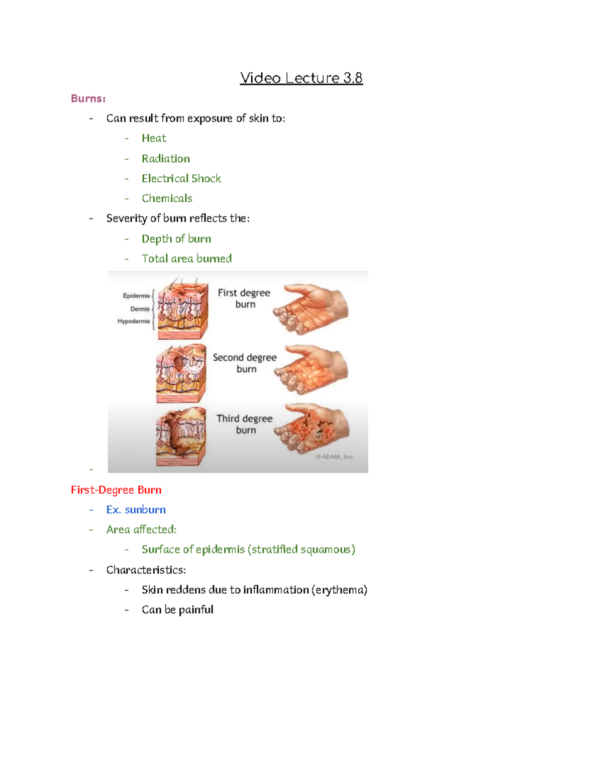 Lecture 3.8 Notes - Video Lecture 3. Burns: - Can result from exposure ...