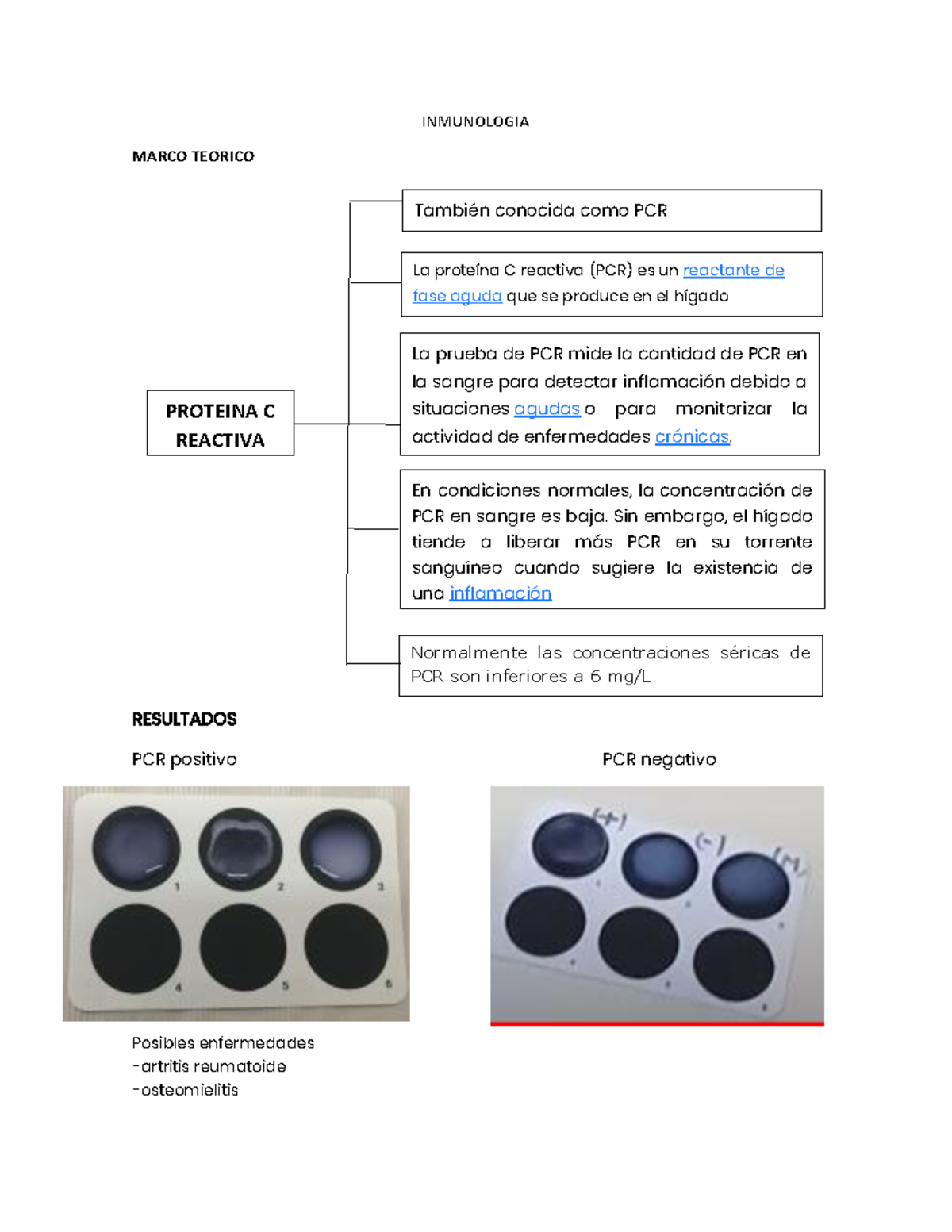 Inmunologia Informe - PCR - INMUNOLOGIA MARCO TEORICO RESULTADOS PCR ...