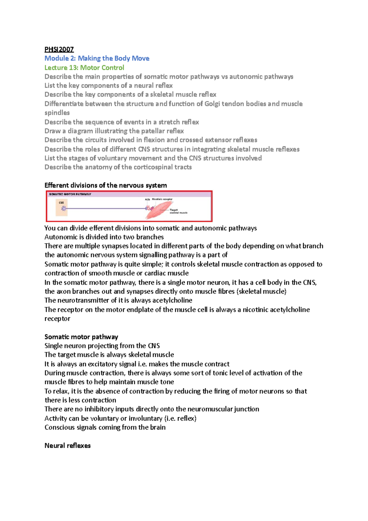 PHSI2007 Lecture 13 - PHSI Module 2: Making the Body Move Lecture 13 ...