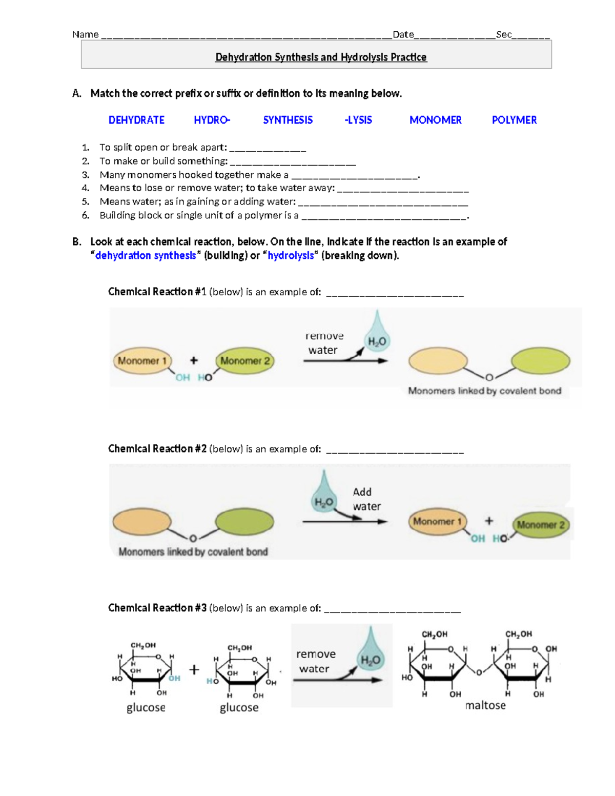 Dehydration Synthesis and Hydrolysis Practice - Name - Studocu