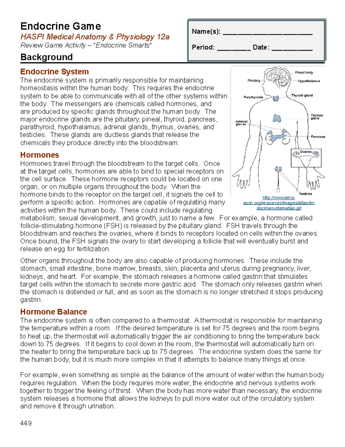 12a endocrine game - Endocrine Game HASPI Medical Anatomy & Physiology ...