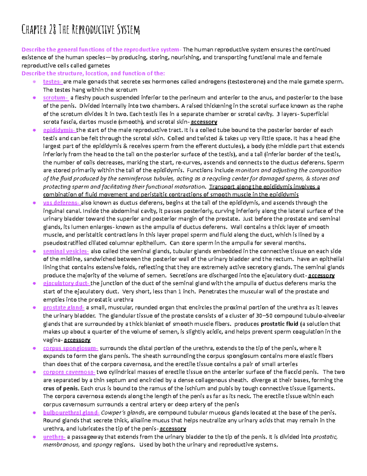 Chapter 28 The Reproductive System - Chapter 28 The Reproductive System ...