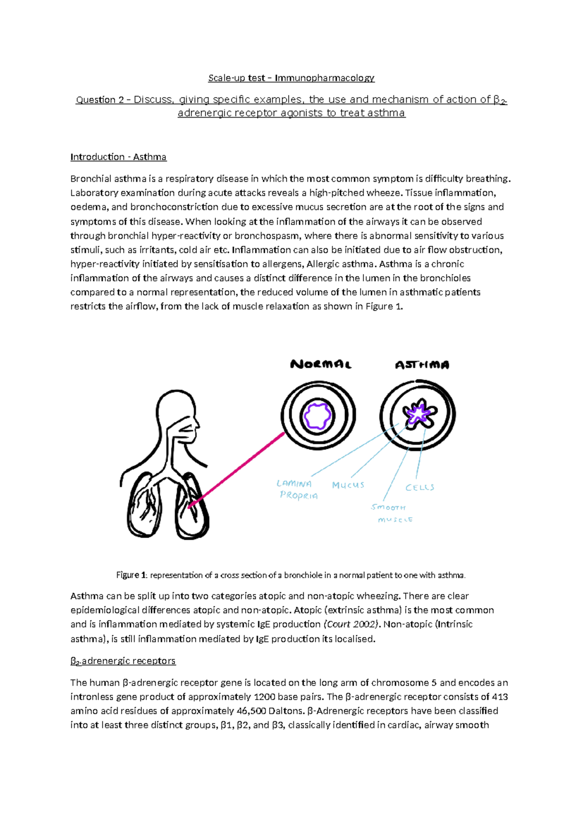 Scale-up Test Immunopharmacology - Question 2 DOC - Scale-up test ...