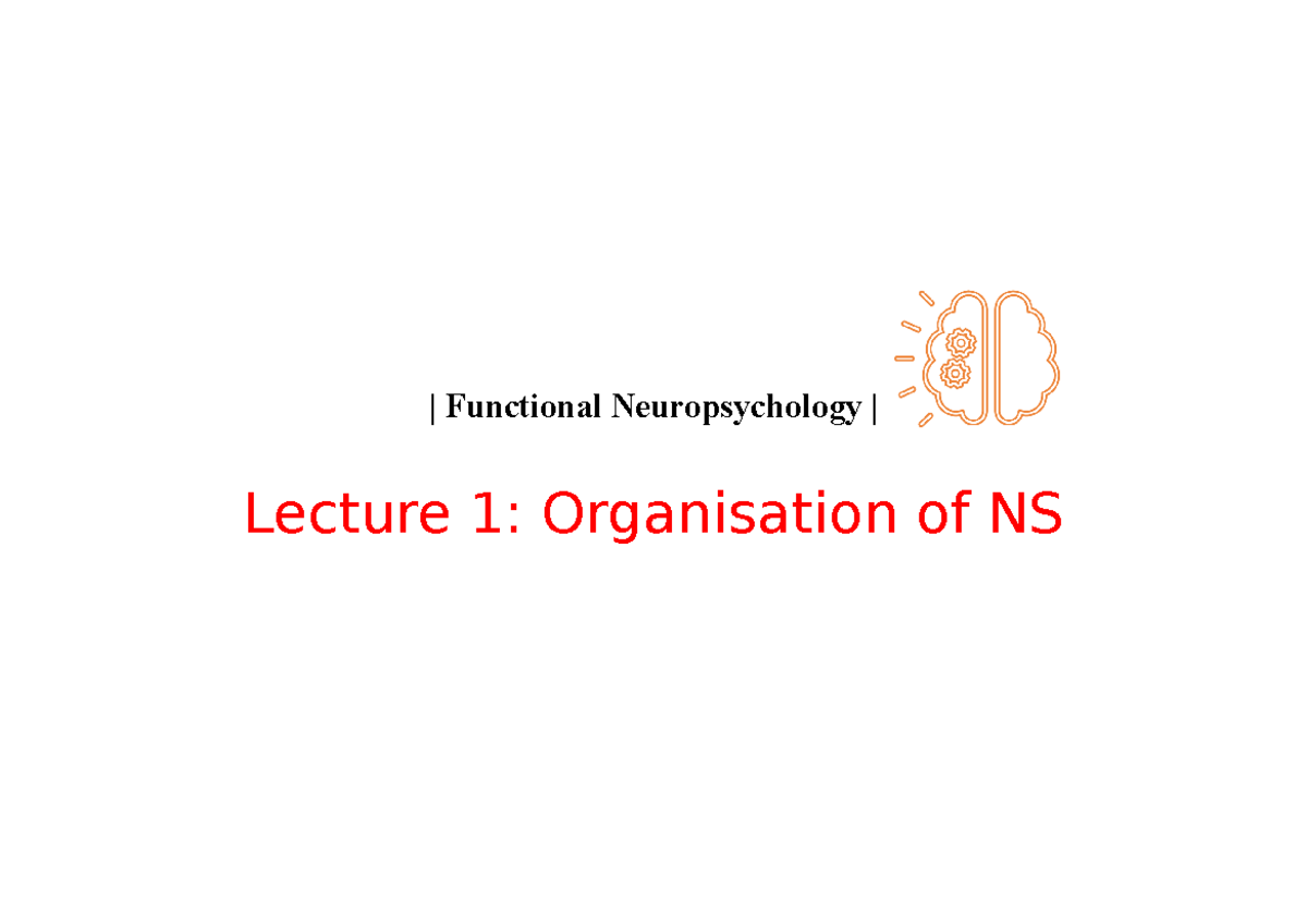 Lecture 1 - Organisation of the NS - | Functional Neuropsychology ...
