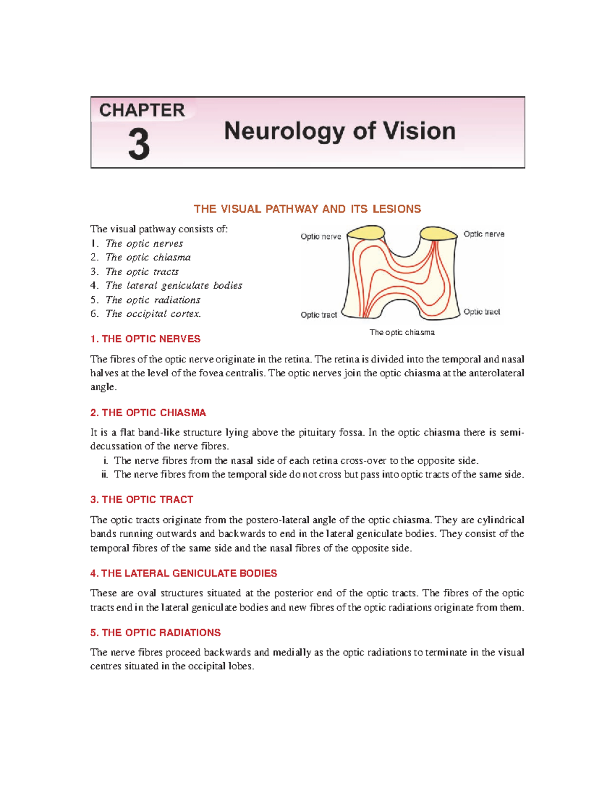 Neurology of vision - THE VISUAL PATHWAY AND ITS LESIONS The visual ...