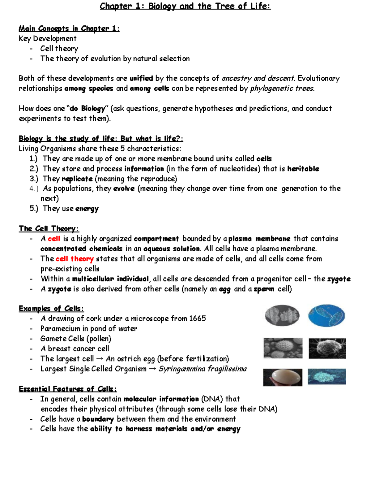 Biology 1M03 Chapter 1 - 1st half of sem Lecture notes - Chapter 1 ...