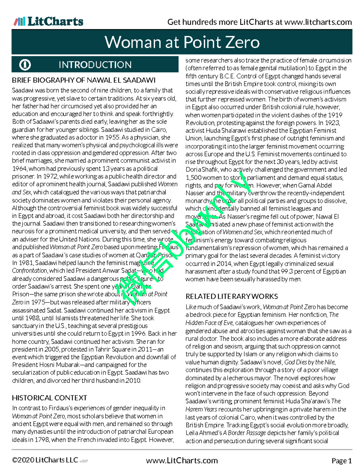 Woman-at-Point-Zero-Lit Chart 1 - Woman at Point Zero BRIEF BIOGRAPHY ...