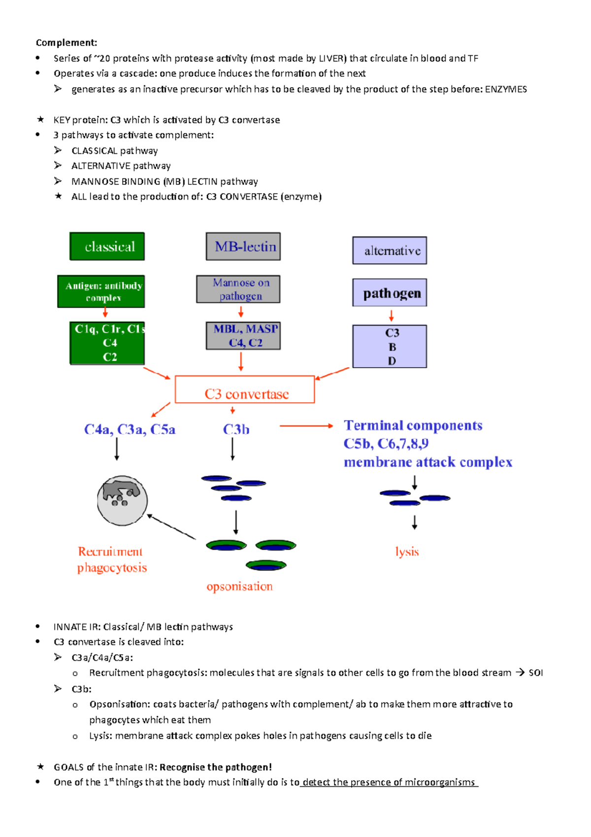 Lecture 6 - Complement: Series of ~20 proteins with protease activity ...
