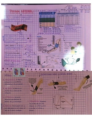 PEX-08-02 - Ysabel Valera - Exercise 8: Chemical and Physical Processes ...