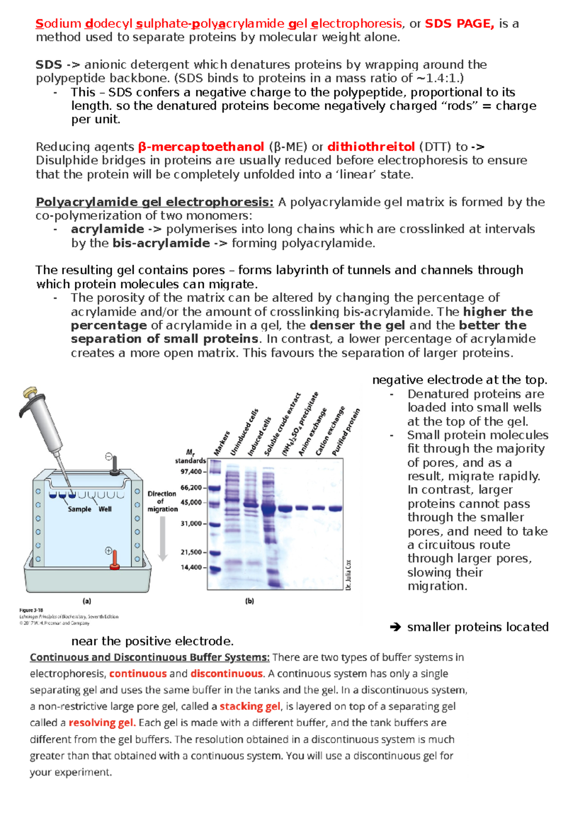 BIOC - learnx 6 - BIOC2000 - UQ - Studocu