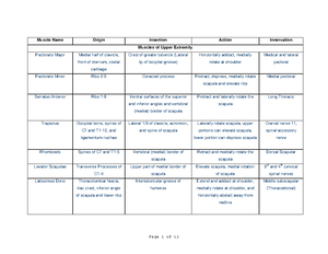 Mmt8 grading and testing procedures for the abbreviated 8 muscle groups ...